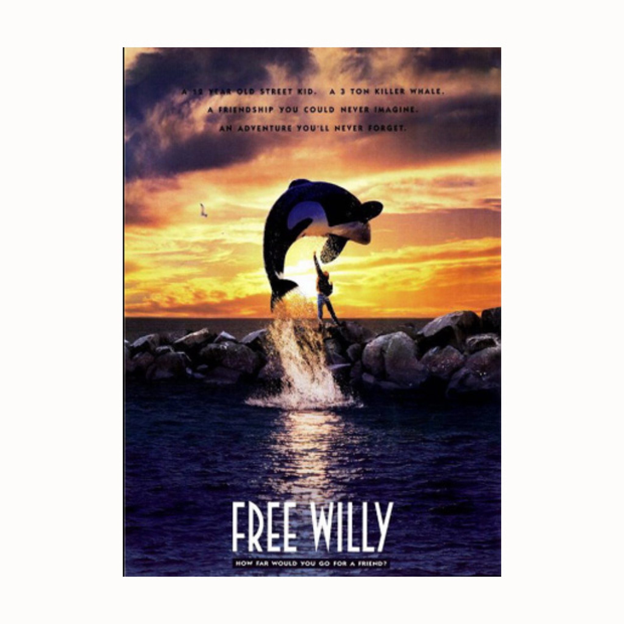 Movie Night: Free Willy | Bandon Events